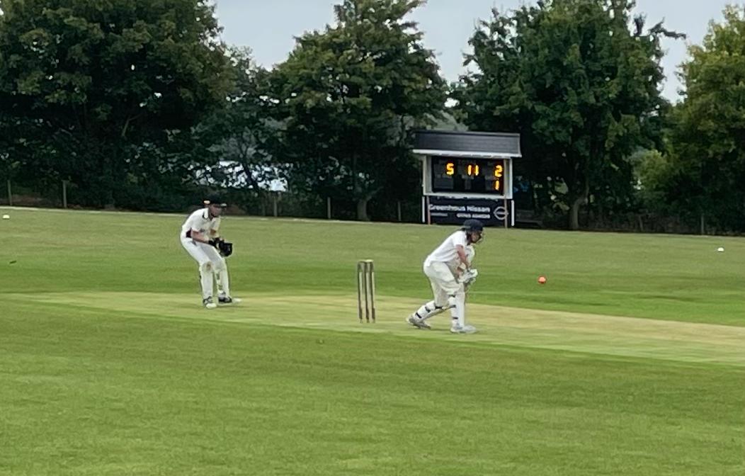 Junior Leagues – Cricket Shropshire